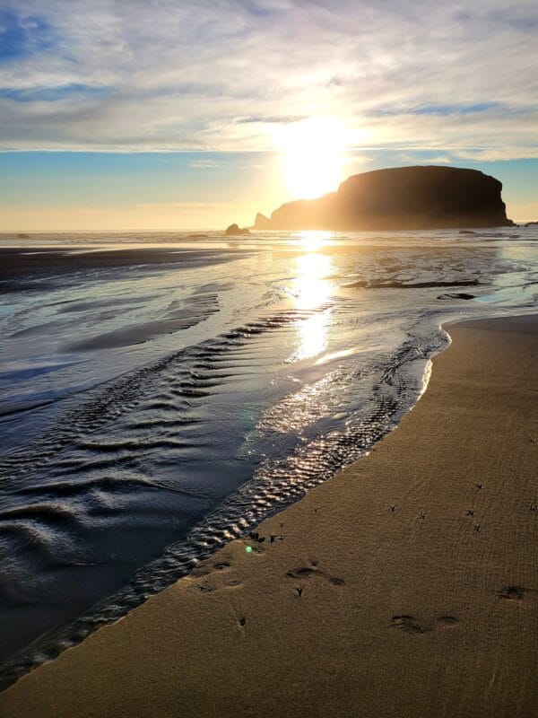 Southern Oregon Coast and Gold Beach at Pacific Reef Hotel